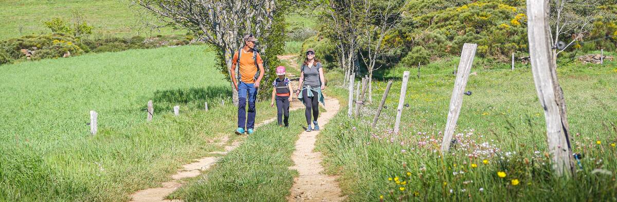 Notre top 10 des randonnées dans le Pilat | Office de Tourisme du Pilat