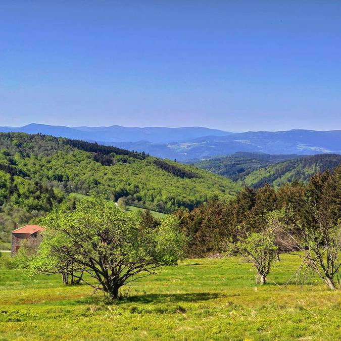 Webcams du Pilat | Office de Tourisme du Pilat