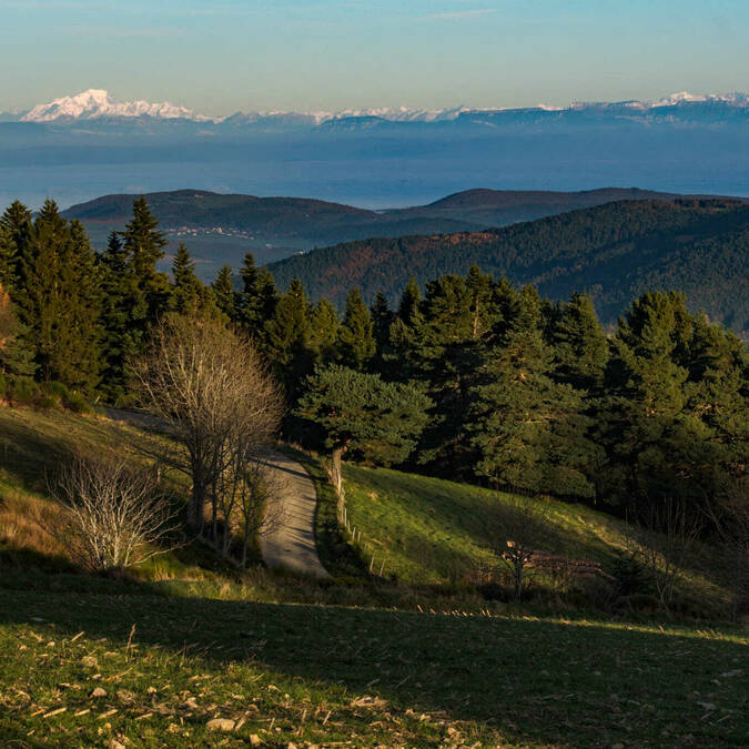 Château de Villars - La Chapelle-Villars | Office de Tourisme du Pilat